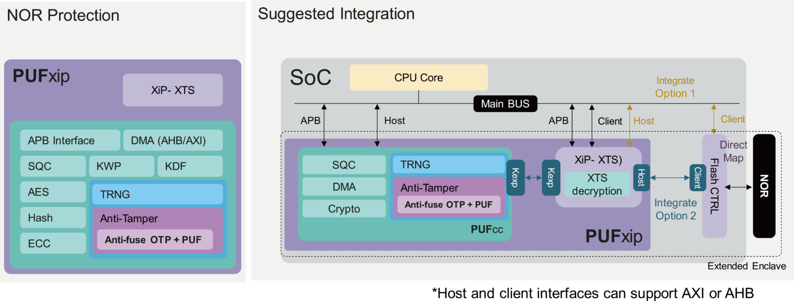 Flash Protections Series | PUF-based Security IP Solutions | PUFsecurity