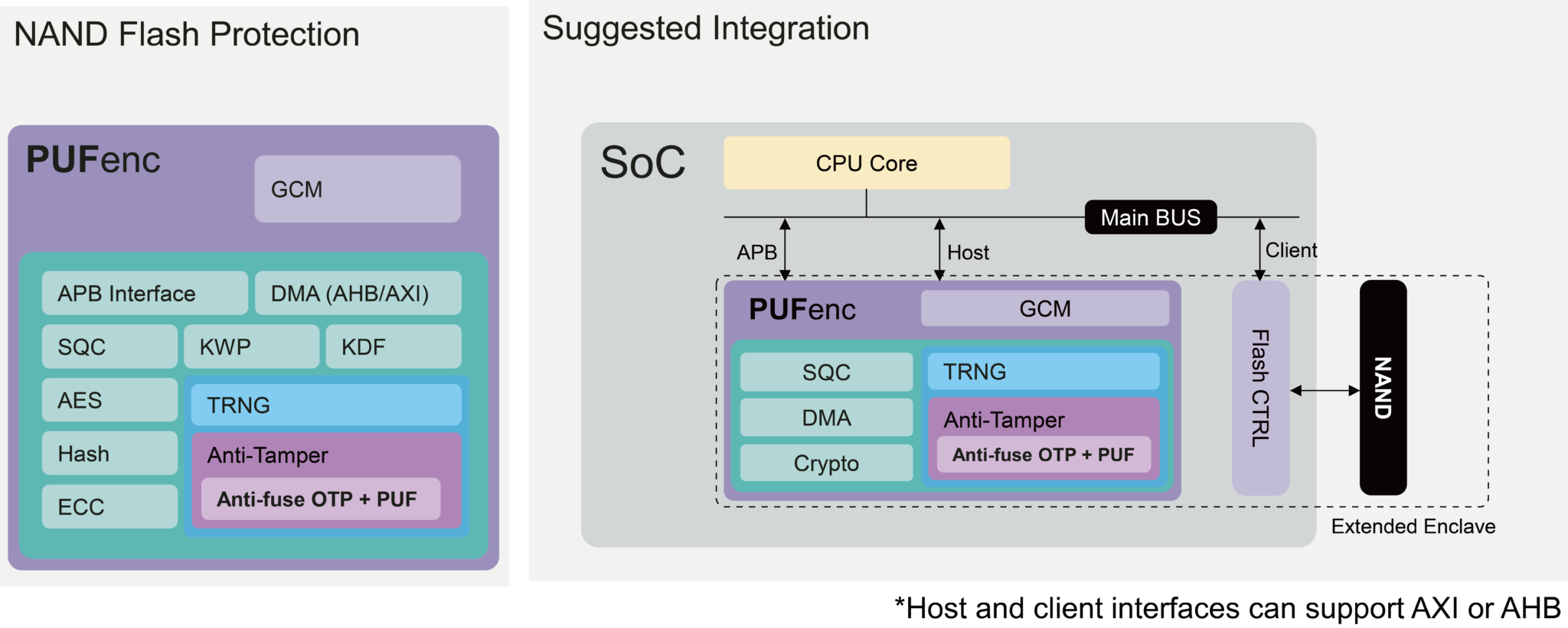 Flash Protection Series | PUF-based Security IP Solutions | PUFsecurity
